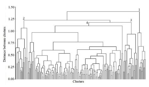 Results Of Cluster Analysis Showing Morphological Similarity Of 172 Download Scientific Diagram