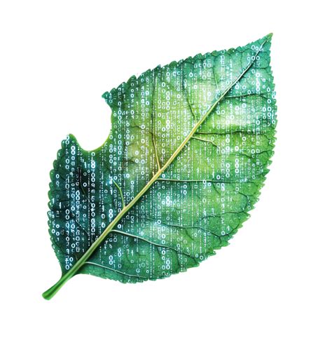 Esg Data Analytics And Ai Esg Analytics Services Company