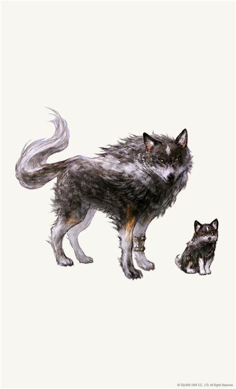 Torgal Final Fantasy And More Drawn By Takahashi Kazuya Danbooru