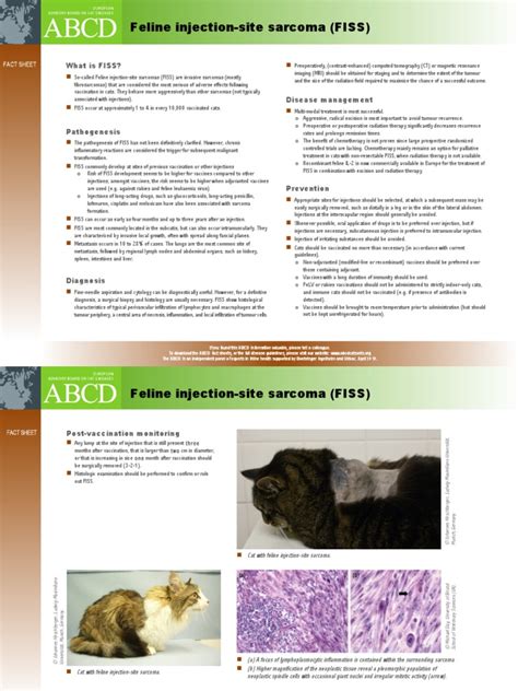 Feline Injection Site Sarcoma Fiss Download Free Pdf Sarcoma