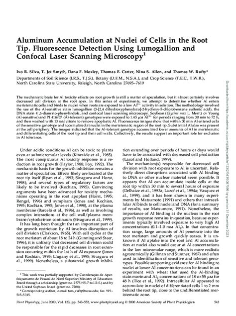 Pdf Aluminum Accumulation At Nuclei Of Cells In The Root Tip Fluorescence Detection Using