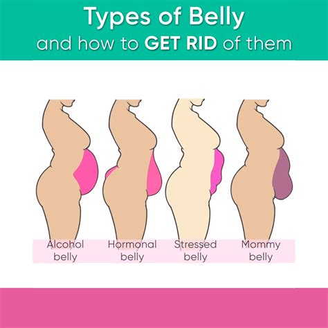 5 Types Of Tummies And Ways To Get Rid Of Each Of Them Artofit