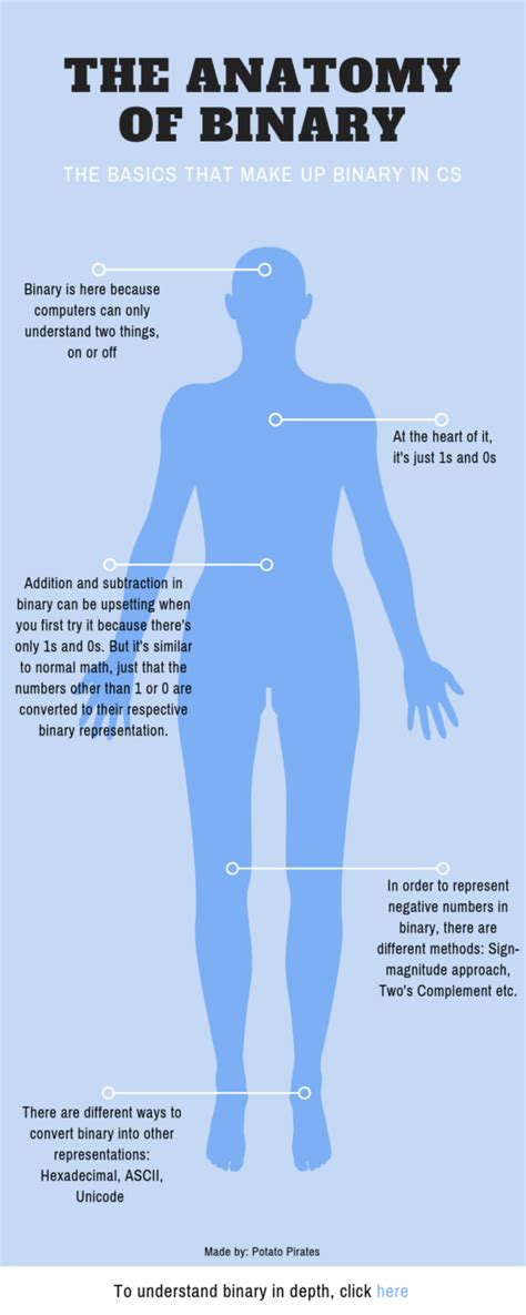 Chart The Fundamentals Of Binary Infographic Tv Number One Infographics Data Data