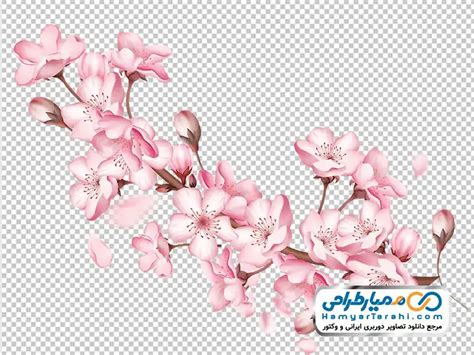 دانلود نقاشی شکوفه درخت 01241716