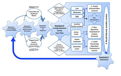 Keystones Of The International Caries Classification And Management Download Scientific Diagram