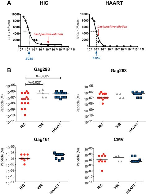 Increased Functional Avidity Of Memory Cd4 T Cells From Hiv Download Scientific Diagram