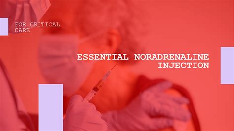 Noradrenaline Injection Essential For Critical Care Farbe Firma