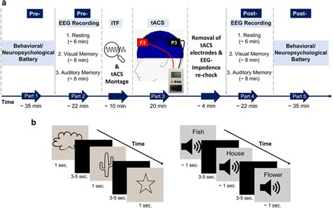 Experimental Design And Task Procedure A Design Of The Experiment