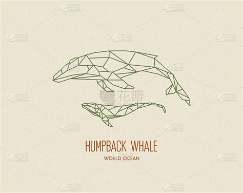 鲸鱼多边形轮廓