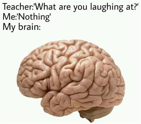 Microelectrode Recording From My Subthalamic Nucleus During Dbs Surgery R Neuro