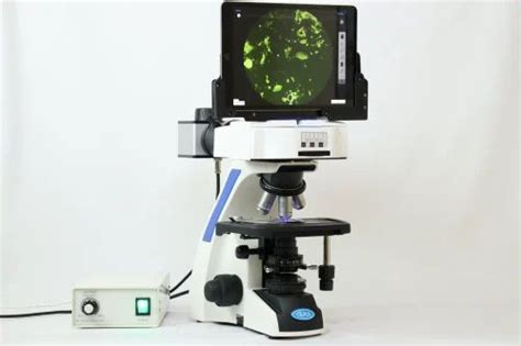 Cilika Fluorescent Microscope At Best Price In Thane By Medprime Technologies Private Limited