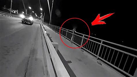 Проезжавшая по мосту семейная пара заметила пару странных глаз на обочине вы удивитесь Youtube