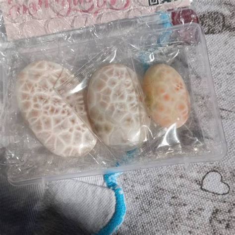 Selected Dendrite Fossil Cabochon Natural Dendrite Fossil Natural Gemstone For Jewelry Making