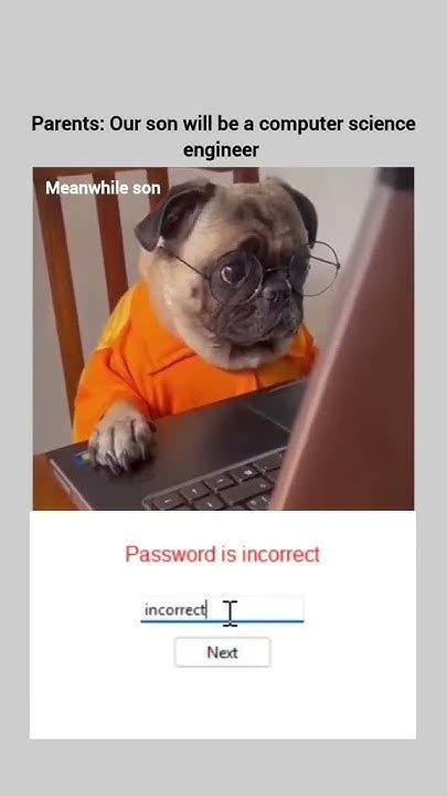 Techl Computerscience Programming Funny Coding Dev Viral Fyp Memes Viralvideo Python