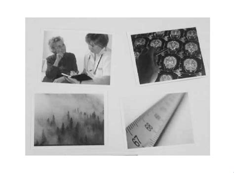 A Card Sorting Exercise Download Scientific Diagram