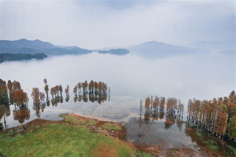 航拍秋日四明湖水杉林 湖泊池塘 自然风景 摄影素材 汇图网www huitu