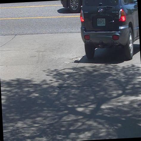 Complete Dataset Object Detection Dataset By Workspace