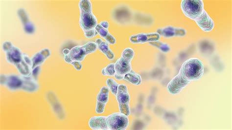 Clostridium Perfringens Cum O Recunosti Simptome Preventie My Xxx Hot Girl