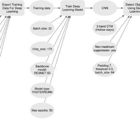 Cnn Training Data Export Training And Detection Workflow Download Scientific Diagram