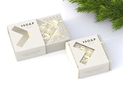Box And Sleeve Packaging Modern Cost Effective Solutions