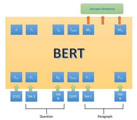 Next Sentence Prediction Using Bert Geeksforgeeks