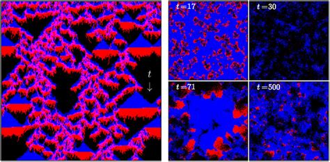 Aging Scaling Plot Double Logarithmic For The Scaled Predator Density