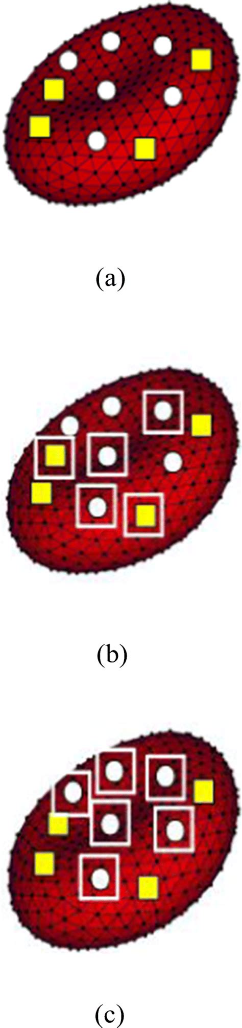 Feature Extraction Results Obtained With Different Algorithms A