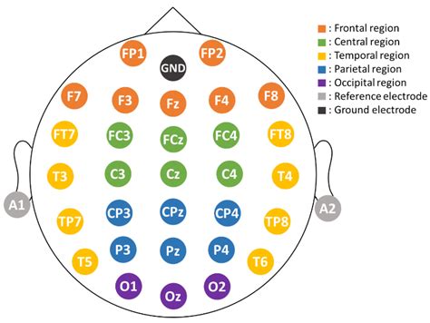 Actuators Free Full Text Mci Detection Using Kernel Eigen Relative Power Features Of Eeg Signals