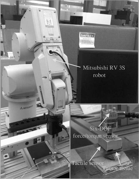 Picture Of Experimental Setup For Robotic Assisted Tumor Localization Download Scientific Diagram