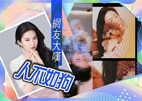 劉亦菲開睡衣派對似足病人衫 人狗合一上床碌 Oncc 東網 Line Today