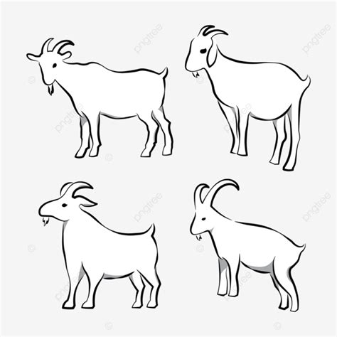 흰 염소 그림 벡터 염소 이드 축하 Png 일러스트 및 벡터 에 대한 무료 다운로드 Pngtree