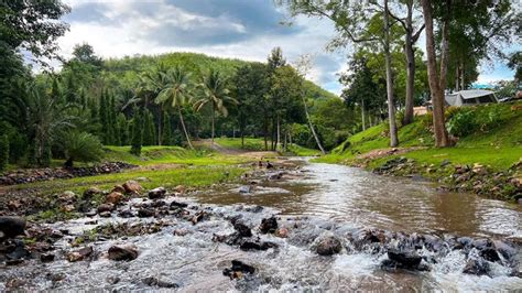 ไร่เมืองเกษม ลานกางเต็นท์ริมลำธาร วิวสวย เล่นน้ำได้ จ่ายเพียงคนละ 119 บาท