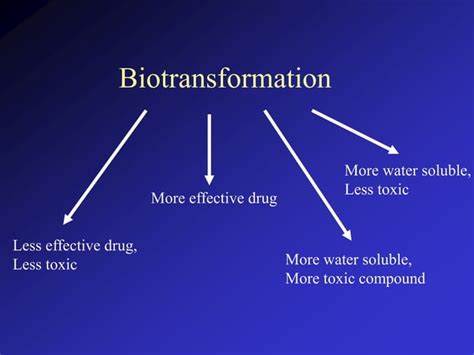 Xenobiotic Metabolism Detoxification Of Drugs Enzyme Action Ppt