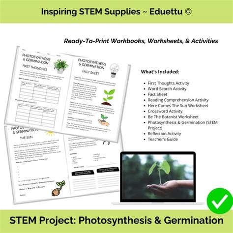 Stem Project Photosynthesis And Germination Pbl Ngss Aligned Tpt
