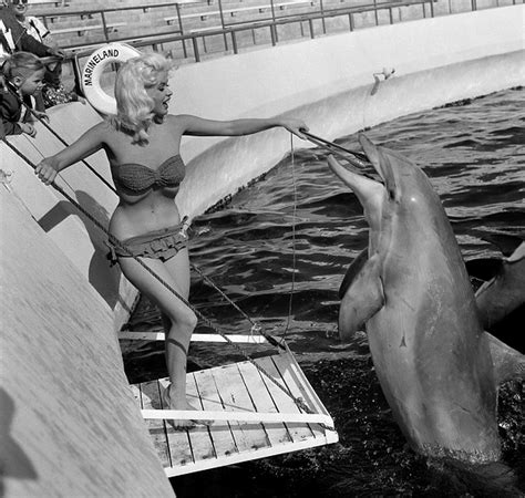 Jayne Mansfield Nude Photos And Porn Video 2024 Scandal Planet