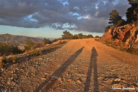 Elevation Of Colonus Athens 44 Greece Maplogs