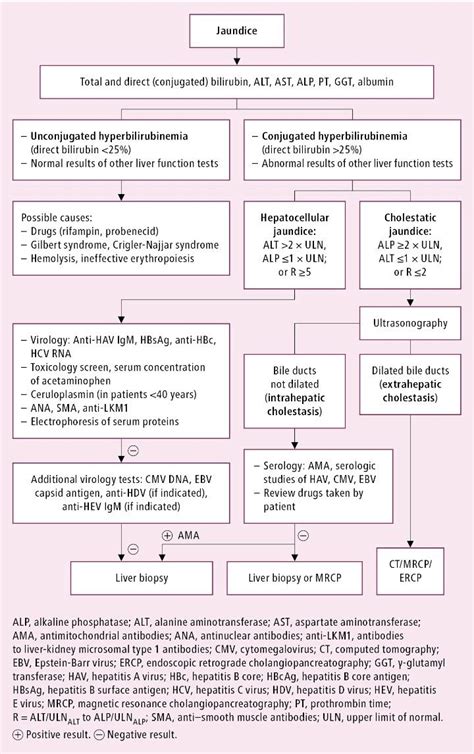 Osama Ahmed On Linkedin Diagnostic Algorithm Of Jaundice