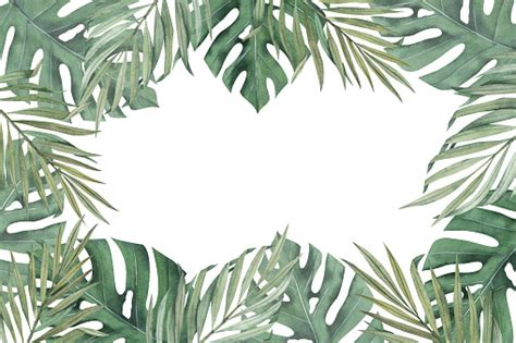 열대 야자수는 수채화 프레임을 남깁니다 손으로 그린 정글 디자인 클립아트 프리젠테이션 엽서 초대장 제품 인쇄를 위한 템플릿입니다 배경이 없는 그림입니다 결혼식에 대한 스톡