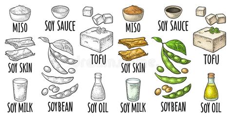 Soy Food Set Miso Tofu Skin Soybean Sauce Stock Vector