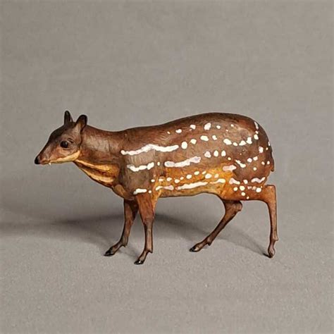 21039 Yellow Striped Chevrotain