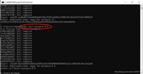Windows使用docker安装postgresqlwindows Docker Postgresql Csdn博客