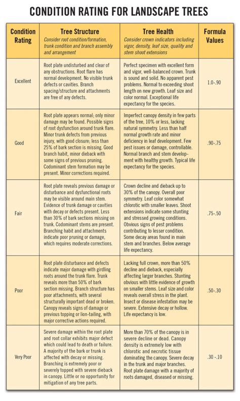 An Introduction To Tree Appraisal Tree Care Industry Magazine