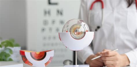 premium photo ophthalmologist doctor in clinic part of eye model on