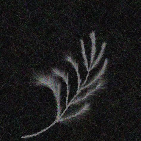 Draw Acceleration By Openroom