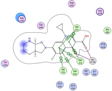 2d Diagram Of Moxifloxacin Docked Into The Active Site Of Mtb Dna Gyrase Download Scientific