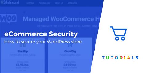 Ecommerce Security How To Keep Your Wordpress Store Secure