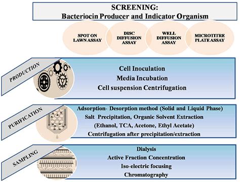 Frontiers Biosynthesis Classification Properties And Applications