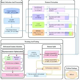 The Flow Of The Model Building Download Scientific Diagram