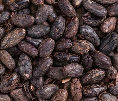 Chocolate Roasted Cocoa Beans Stock Photos Royalty Free Chocolate Roasted Cocoa Beans Images