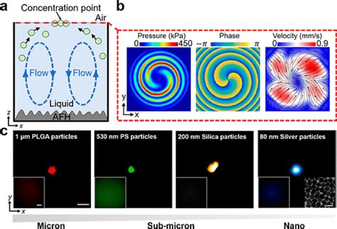 Acoustofluidic Holography For Micro To Nanoscale Particle Manipulation